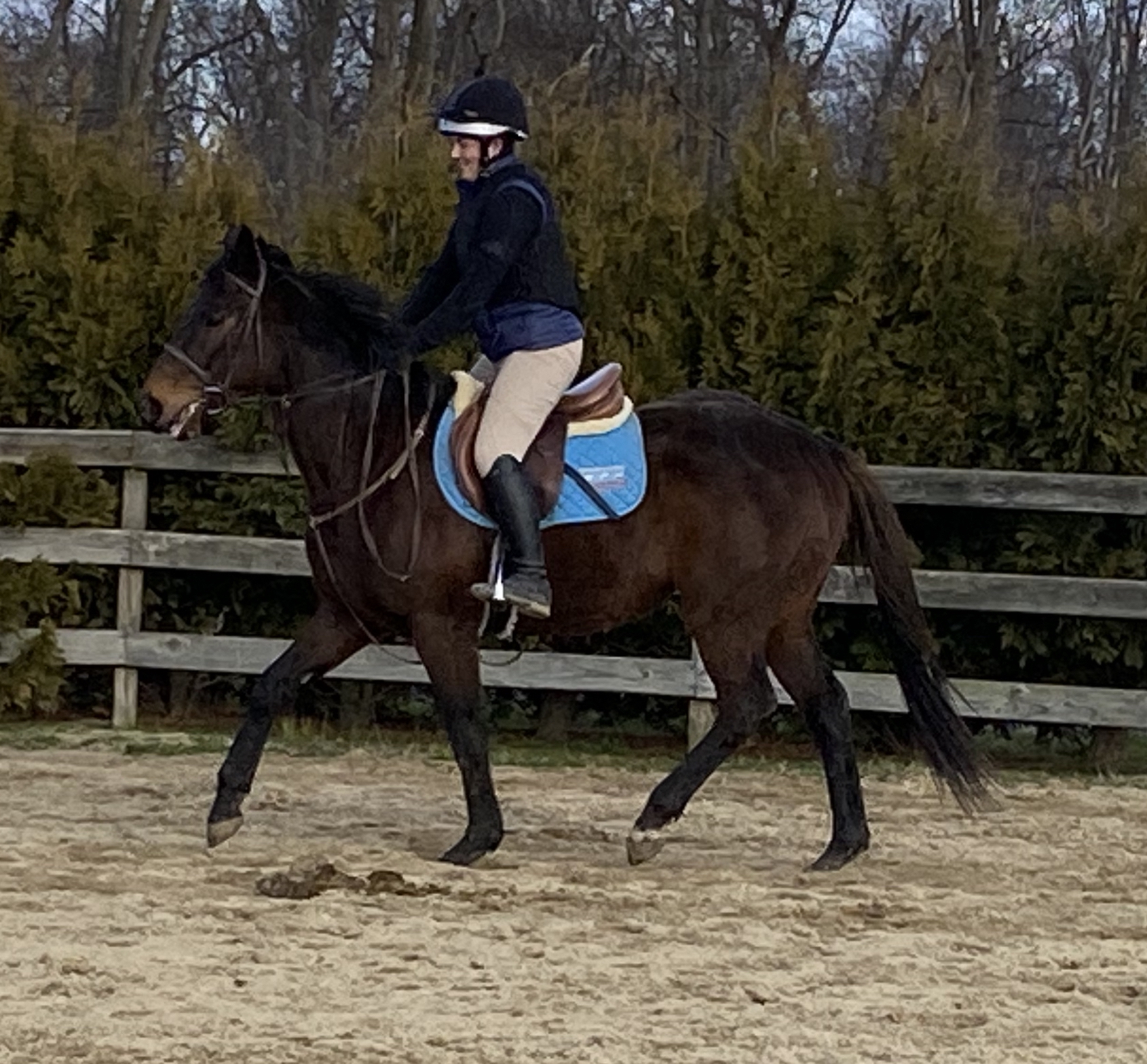 Golden Remedy - Mid-Atlantic Horse Rescue MidAtlantic Horse Rescue
