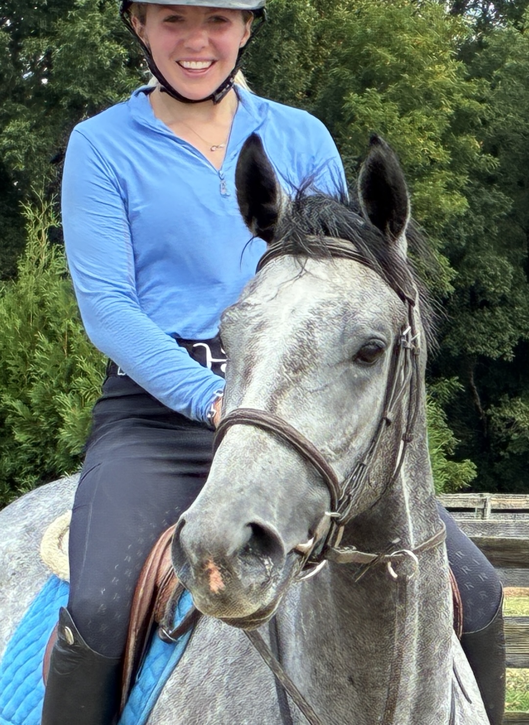 Pull No Punches - Mid-Atlantic Horse Rescue MidAtlantic Horse Rescue